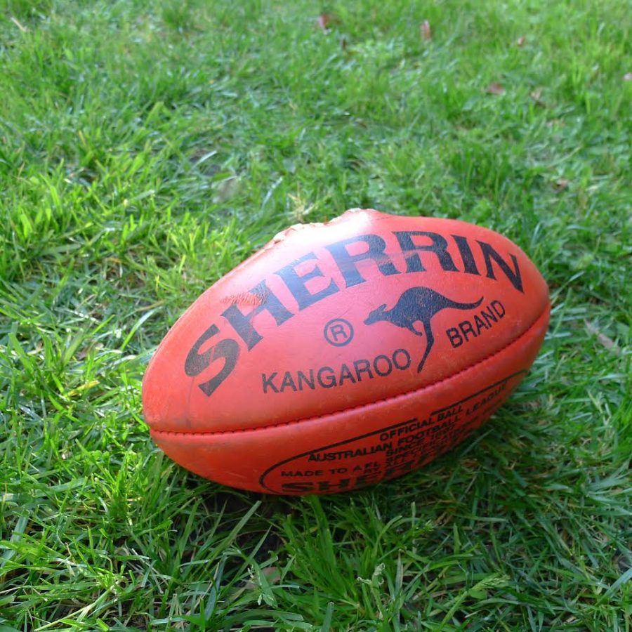 Footy fever: Love the AFL even if you hate sport – Catalyst