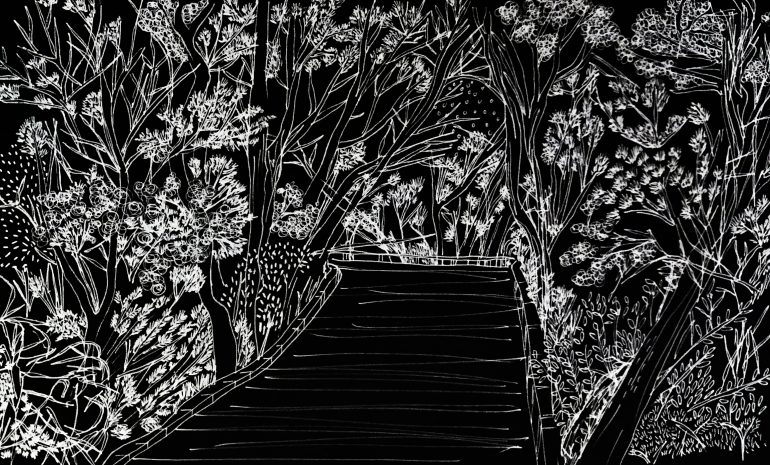 Bushwalking in Melbourne via PTV – Catalyst