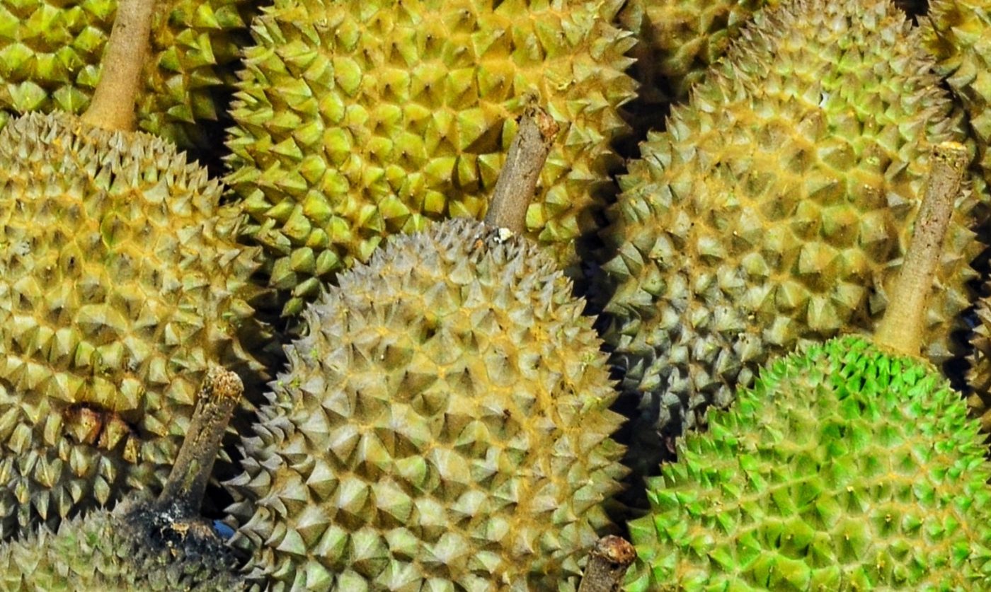 Smelly fruit causes evacuation at RMIT – Catalyst